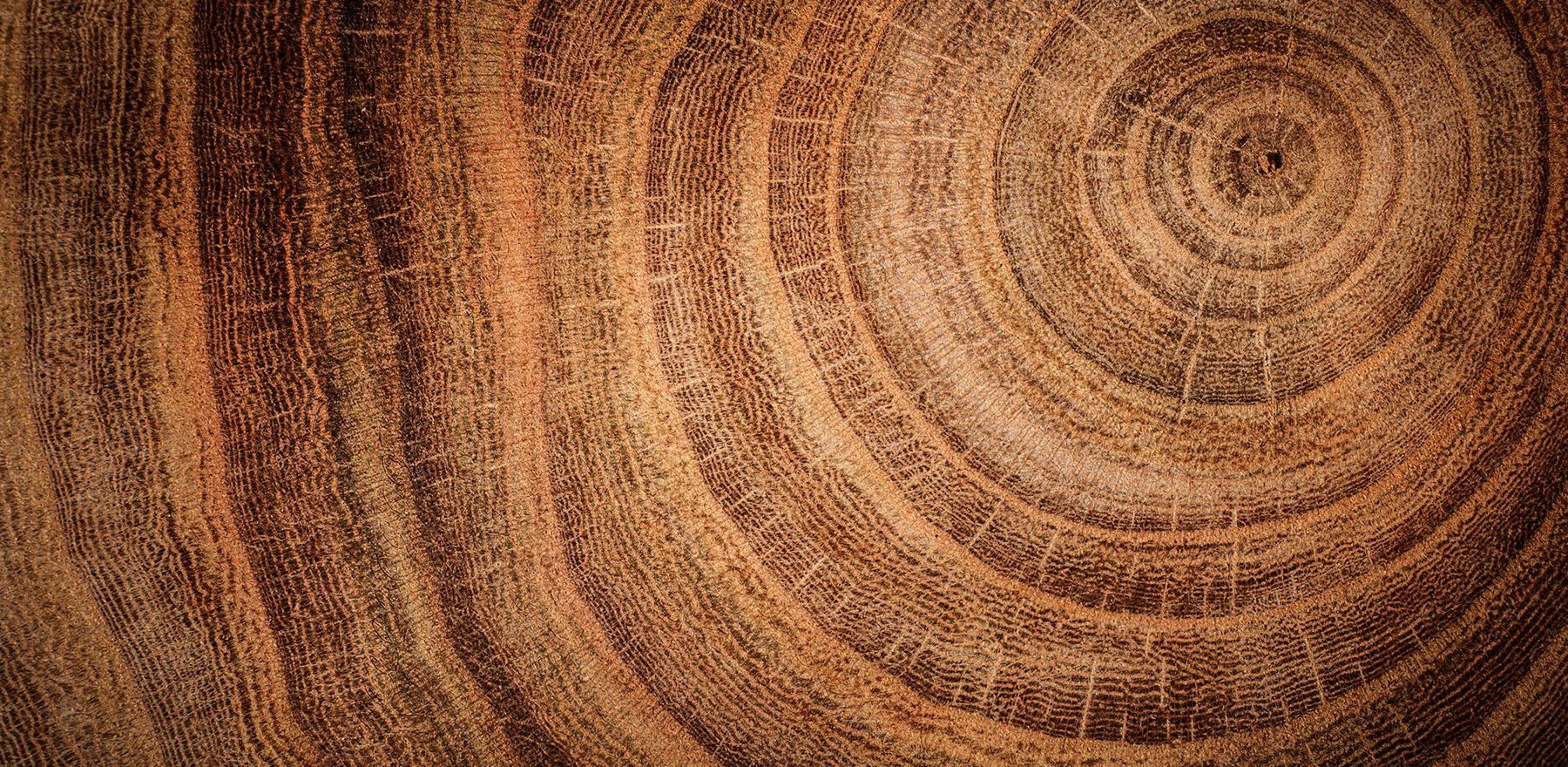 Arborea Natural Matter - Water-Based Impregnating Agents - ICA Group