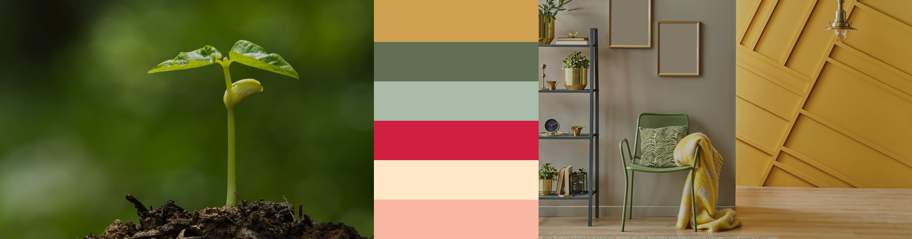 Colors of 2021. Seeds, an NCS color trend - Coatings ICA Group